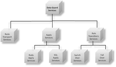Overview Of Oracle Data Guard Online Learning4naukri