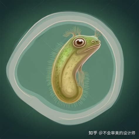 论人类的进化史 知乎