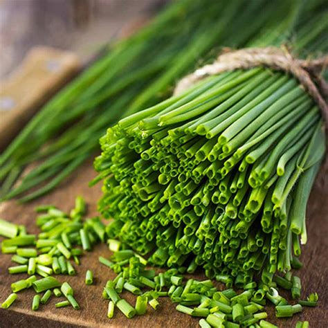 Chives Seeds Buy Online At Seeds Of Plenty