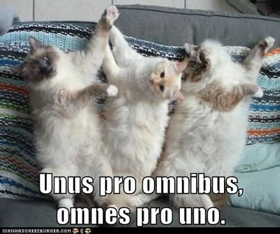 Go Proverbs Proverb Laboratory Latin Lolcat One For All