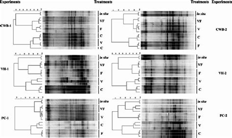 Cluster Analysis Of Dgge Profiles Based On Quantification Of The Band Download Scientific