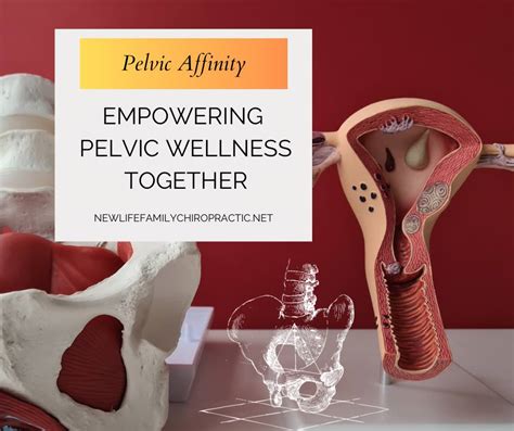 Symphysis Pubis Dysfunction Spd Relief And Treatment At New Life