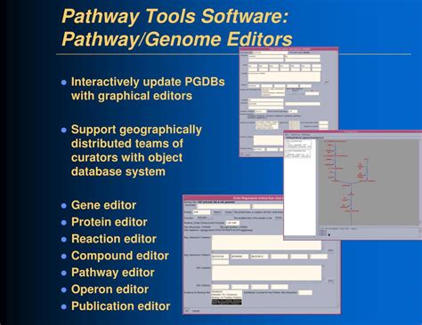 Ppt Pathway Bioinformatics Powerpoint Presentation Free Download Id1353903