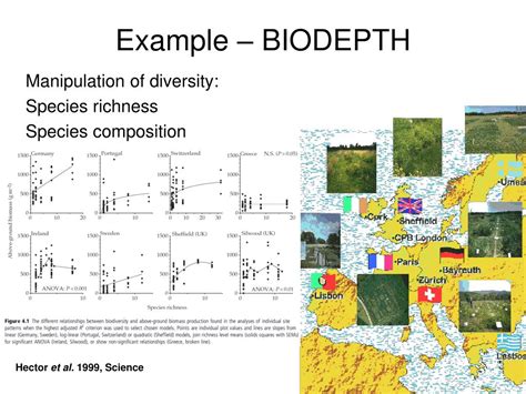 Ppt Generalized Mixed Effects Models Gmems Powerpoint