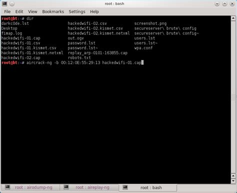 Backtrack Hacking Guide