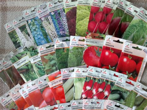 Семена Купить В Интернет Магазине Россия —