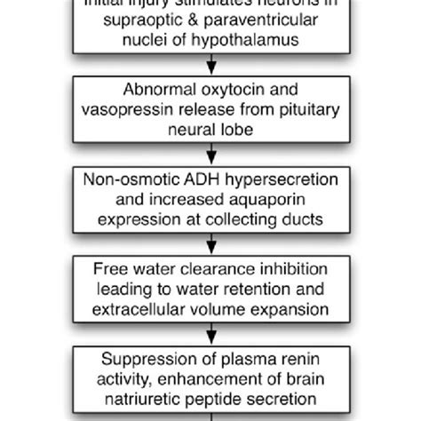 Workup Of A Patient With Hyponatremia Based On Data From [38 98] Na Download Scientific