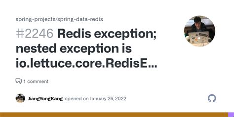 Redis Exception Nested Exception Is Io Lettuce Core Redisexception Connection Closed Issue