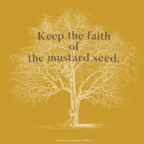 Tami Mcdowells Instagram Twitter And Facebook On Idcrawl