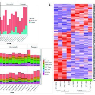 Sequence Variants Copy Number Variation And Differential Gene Download Scientific Diagram