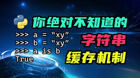 【python】你绝对不知道的字符串缓存机制！这个知识点有点太偏了 Youtube