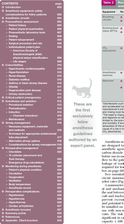 Figure 2 From Aafp Feline Anesthesia Guidelines Semantic Scholar