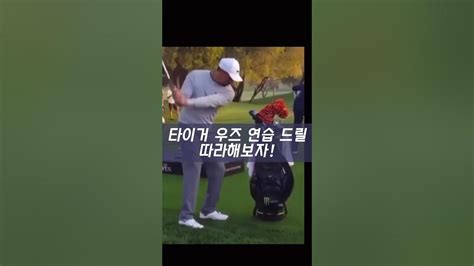 레슨 타이거우즈 연습 드릴 따라해보자 Shorts 골프레슨 Youtube