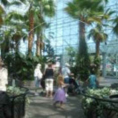 Stream Yaakov Weiner Music Listen To Songs Albums Playlists For