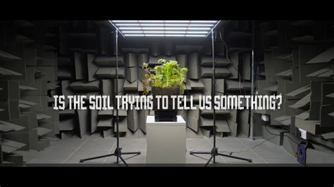 Soil Samples YouTube