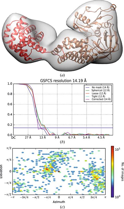IUCr Low Resolution Structures Of Modular Nanotransporters Shed Light On Their Functional Activity