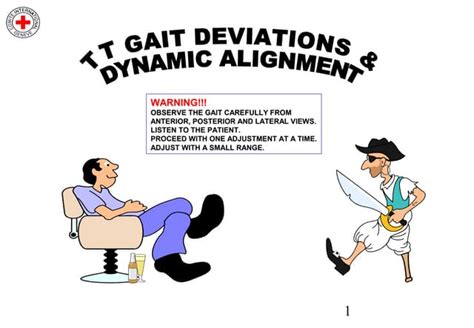 Transtibial Dynamic Alignment Ppt