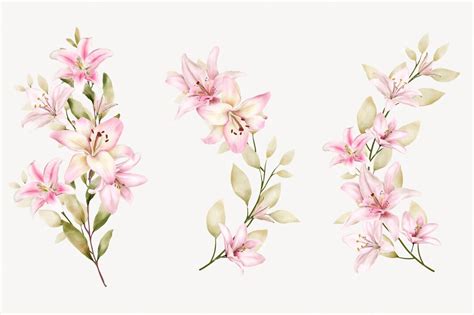 손으로 그린 백합 꽃 지점 디자인 무료 벡터