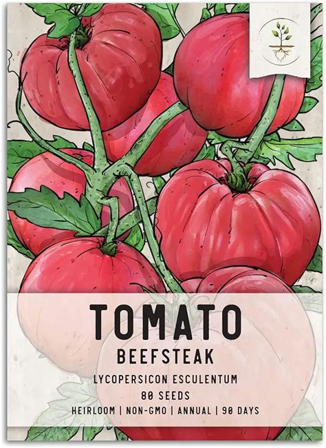 Big Beef Vs Beefsteak A Tomato Showdown Shuncy