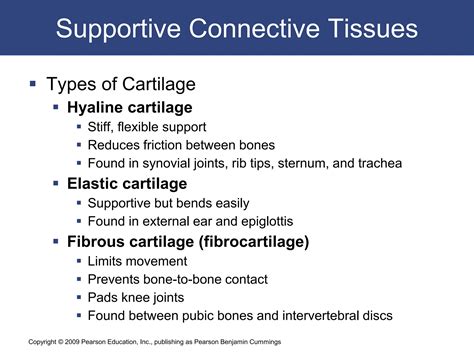 A Detailed Description About The Connective Tissues PPT