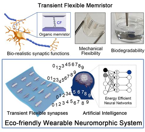 Biodegradable And Flexible Polymer Based Memristor Possessing Optimized Synaptic Plasticity For