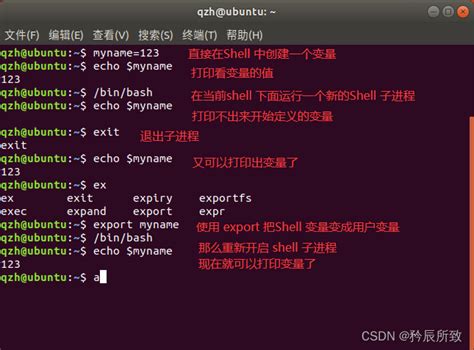 嵌入式 linux 入门（七、linux 下的环境变量） csdn博客