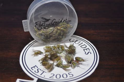 Beaded Holy Grail Nymph Flashback Olive