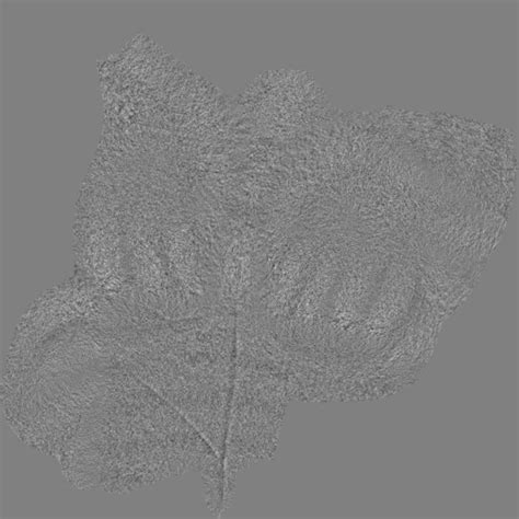 Thyroid Gland Cross Section Anaomy 3d Model 45 C4d Obj Free3d