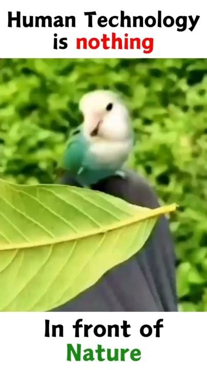 Arijit Das On Linkedin Connect Opportunity Training Share Quality Comment