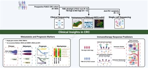 If 33 国内最大规模的结直肠癌基因组变异图谱绘制成功 知乎