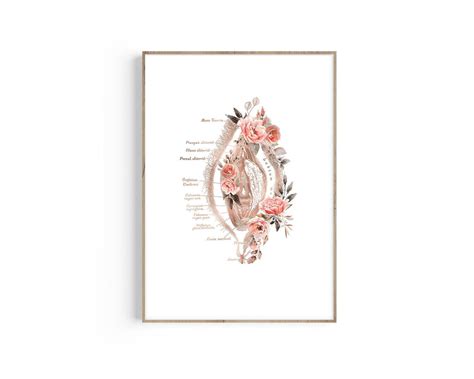 Floral Vagina Anatomy Art Print Female Reproductive System Labeled