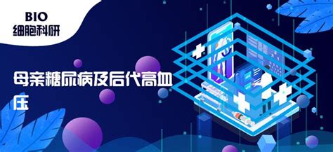 Cardiovasc Res中国科学院曾春雨团队揭示母体糖尿病性高血压后代的致病机制 知乎
