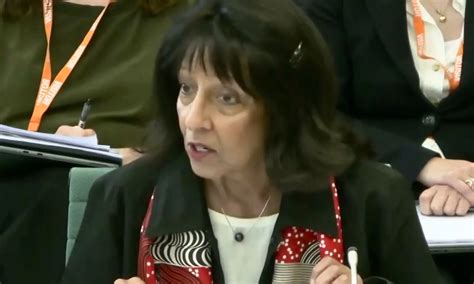 Los Principales Grupos De Derechos Humanos Piden Que Se Rebaje La Cedh