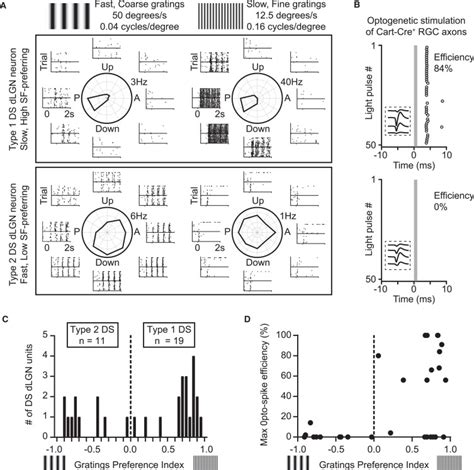 Limited Transmission Of Mixed Convergent Signals At The Mouse Retinogeniculate Synapse Neuron