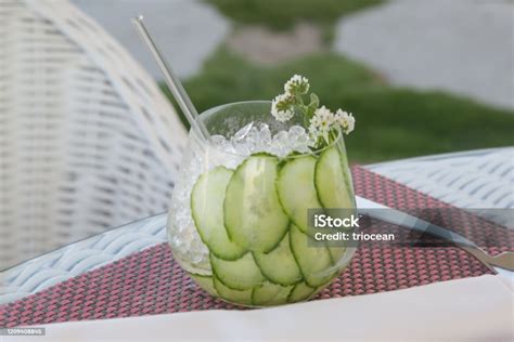 바 카운터에서 오이와 얼음을 곁들인 칵테일 한 잔 0명에 대한 스톡 사진 및 기타 이미지 0명 고급 호텔 고명 Istock