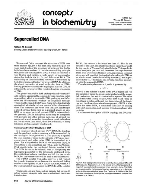 Pdf Supercoiled Dna