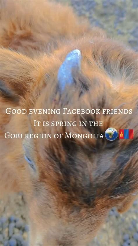 Ichinnorov Adilbish Ichinnorov Official • Instagram Photos And Videos