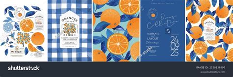 주황색과 파란색 잎 감귤의 벡터 일러스트 스톡 벡터로열티 프리 2520836593 Shutterstock