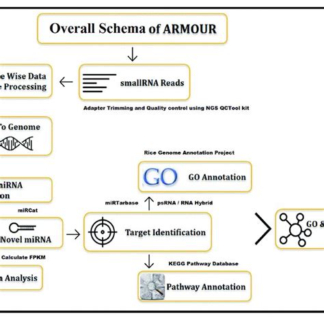 Overall Schema Of Database Development And Functionality Representation Download Scientific