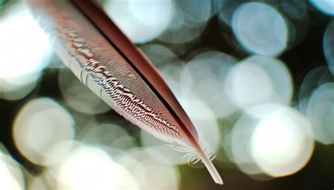 Red Tailed Hawk Feather Spiritual Meaning Vision