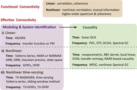 Overview Of The Linear And Nonlinear Functional And Effective Download Scientific Diagram
