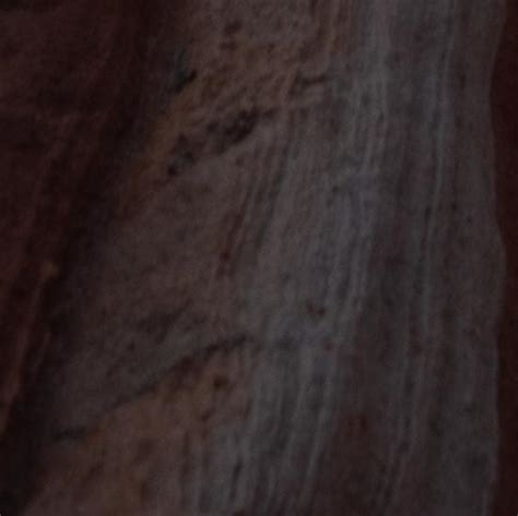 Focus Stacking From Start To Finish