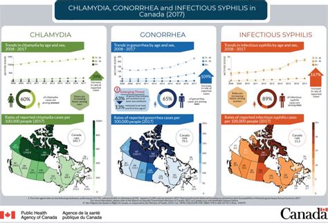 Chlamydia Gonorrhea And Infectious Syphilis In Canada 2017