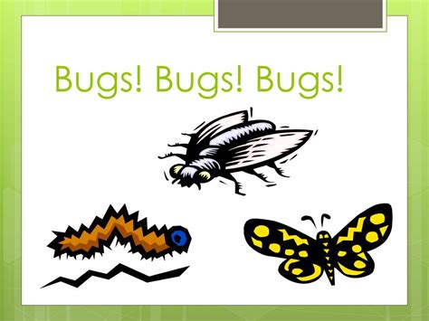 Ppt Dewey Decimal System Game Powerpoint Presentation Free Download