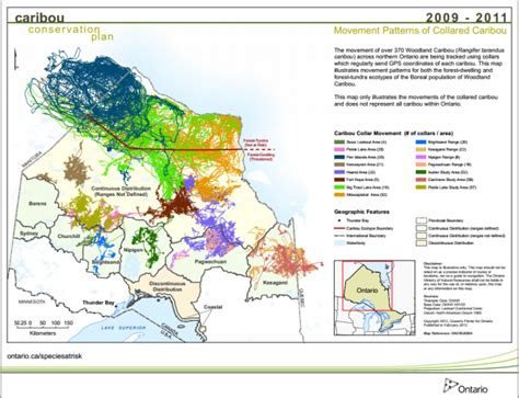 The Study Of Caribou Patterns In North Western Ontario On Target In The Study Of Caribou Patterns In North Western Ontario On Target In