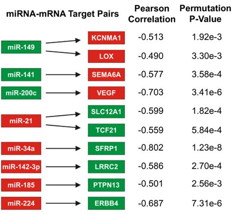 Validation Of MicroRNA MRNA Regulation Relationships In Table Download Scientific Diagram