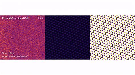 Animated Microscope Moving