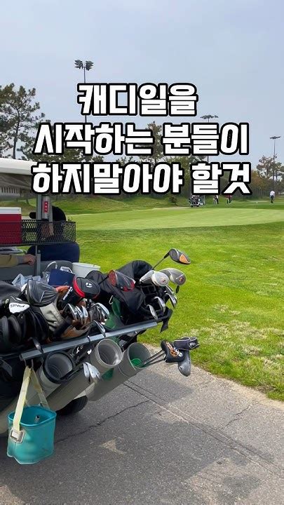 신입캐디라면 꼭보세요 캐디 신입캐디 Youtube