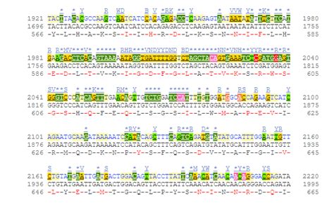 Mutation In Braf V600e Gene Demonstrates Result Due To A Nucleotide Download Scientific Diagram