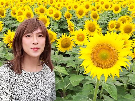 Rococo On Twitter 9月になったけどまだまだ暑い〜🌞💦 夏が終わりきる前に、在庫整理のひまわり🌻画像を放出😊 早く涼しく